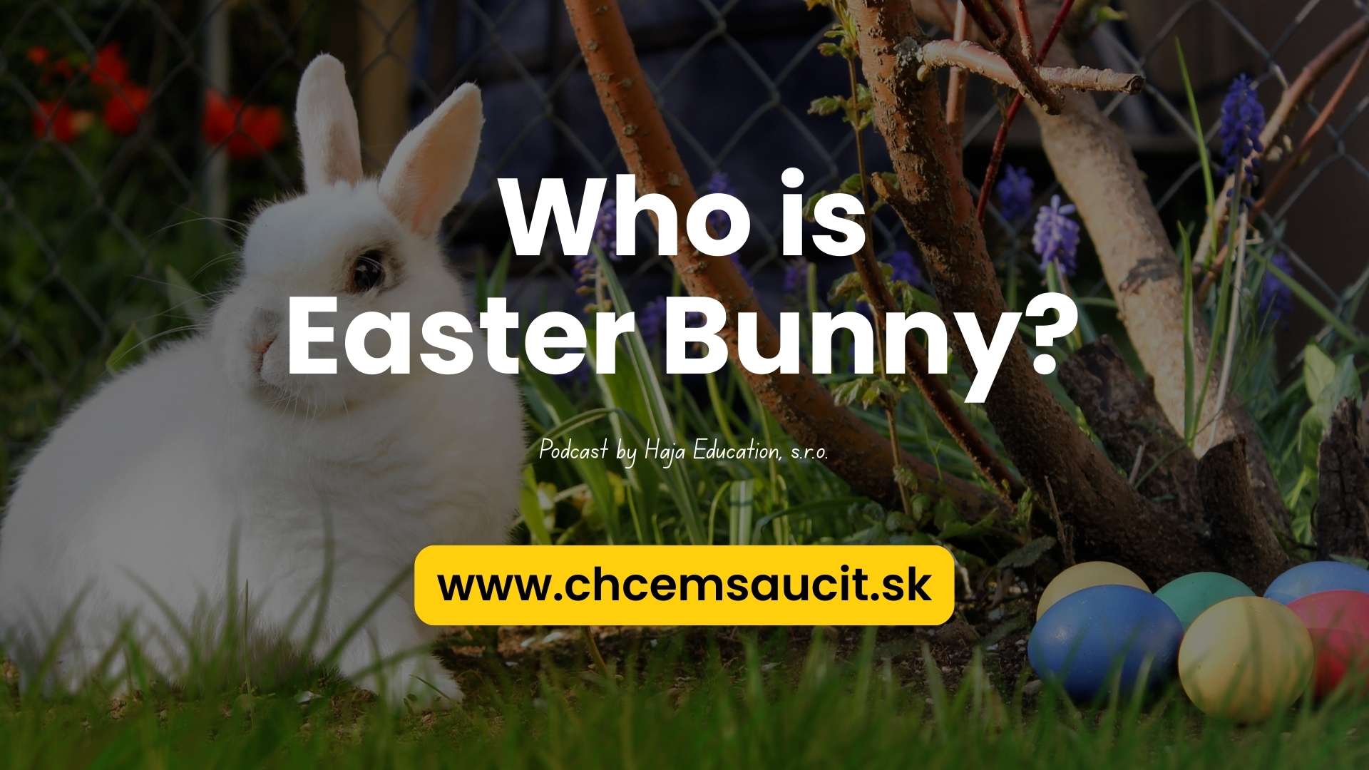 Who is Easter Bunny? | Easy English Podcast | A2 / B1 ESL listening ...